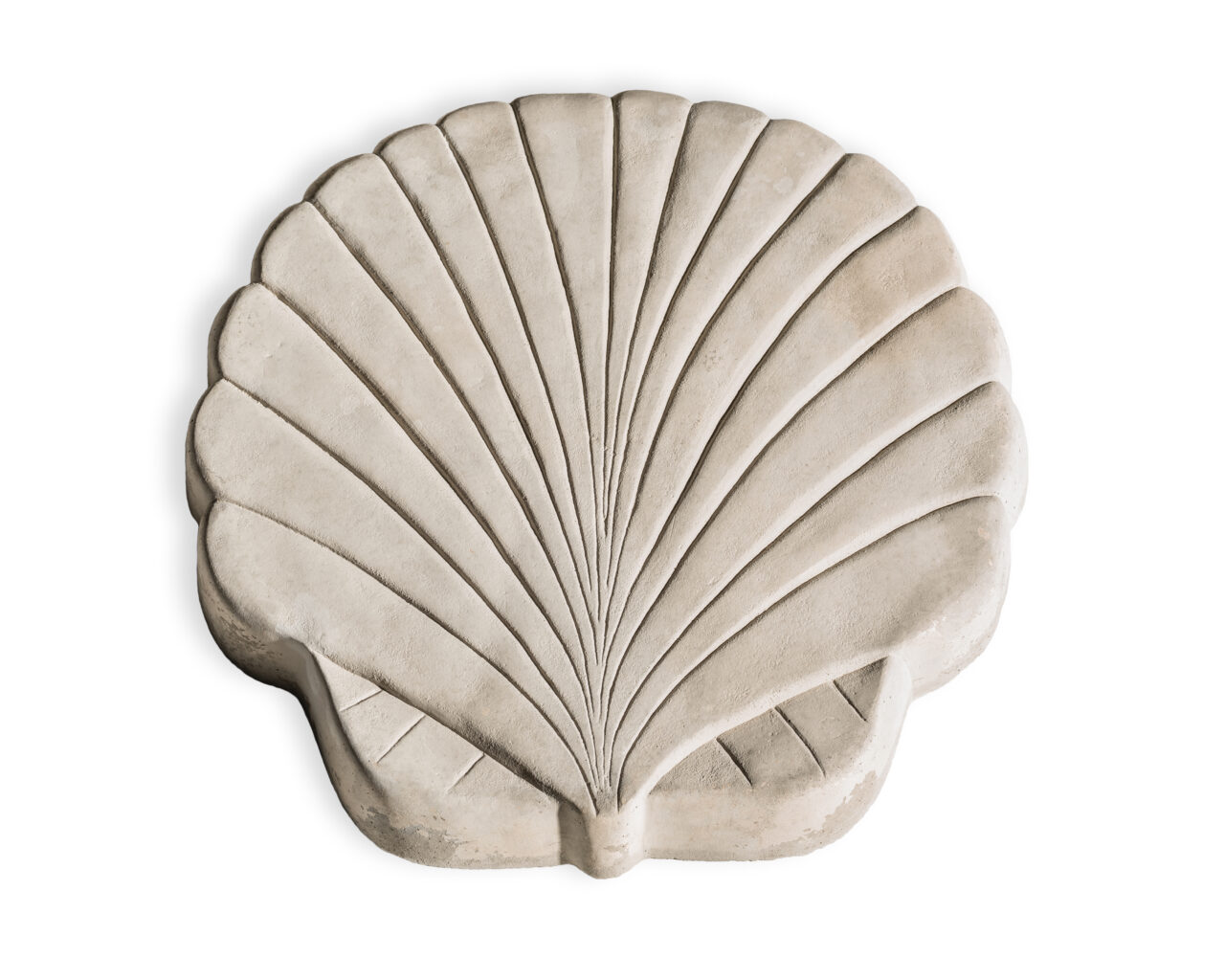Eben Stone Design | Sea Shells